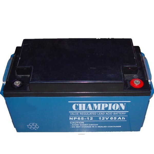 Champion AGM battery 12V65AH Lead Acid battery 12V65AH VRLA UPS battery ...