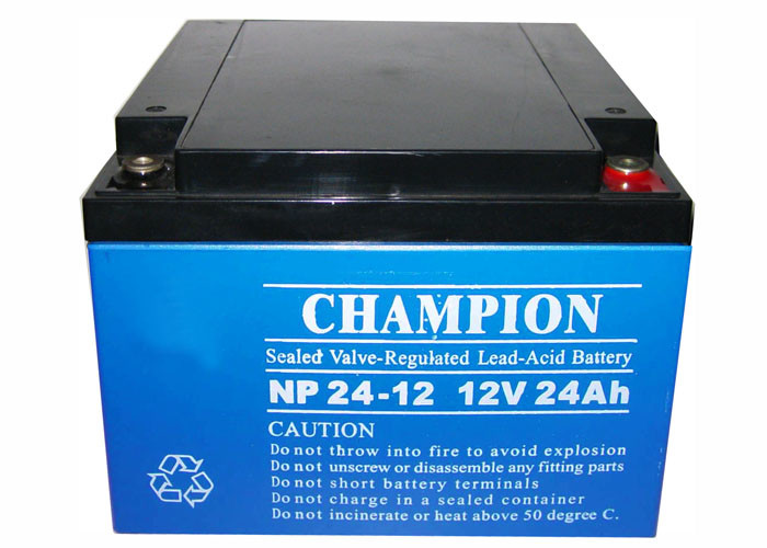 China Champion UPS Battery 12V24Ah NP24-12 Lead Acid AGM Battery VRLA ...